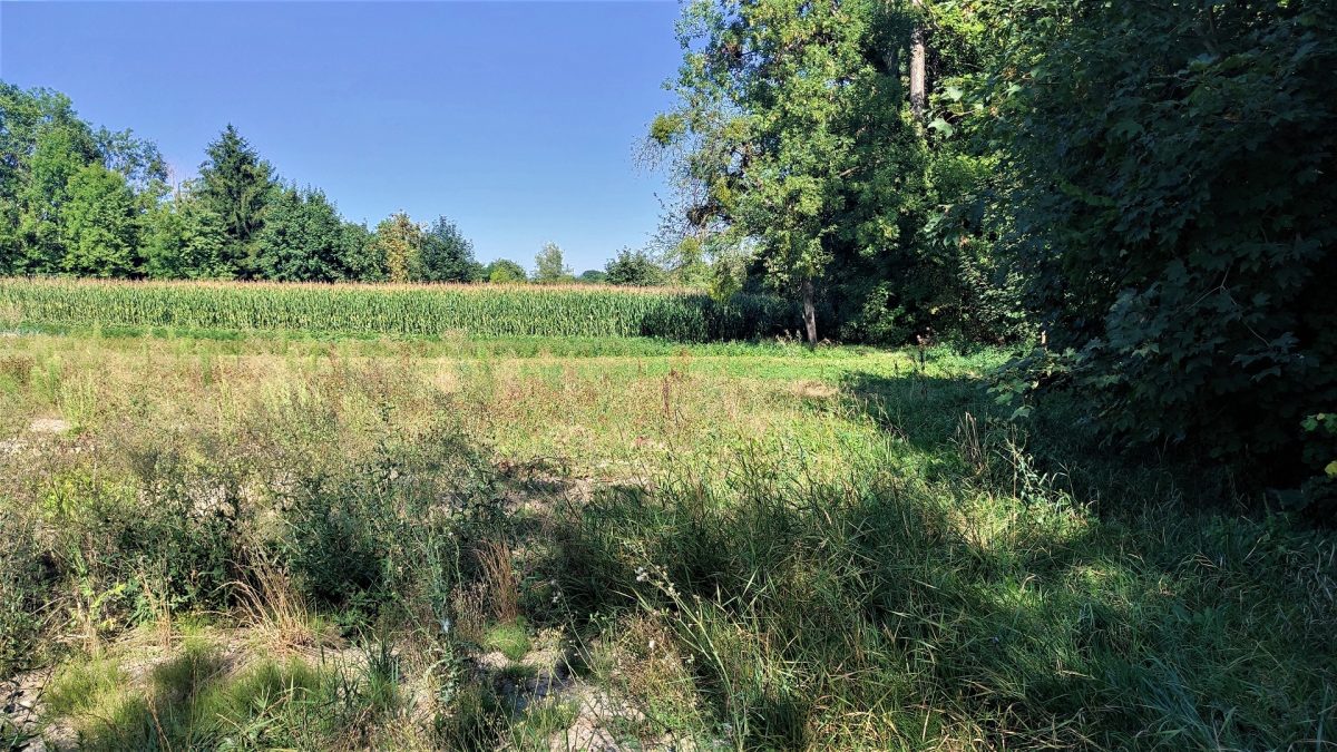 ATTENSCHWILLER - Batige